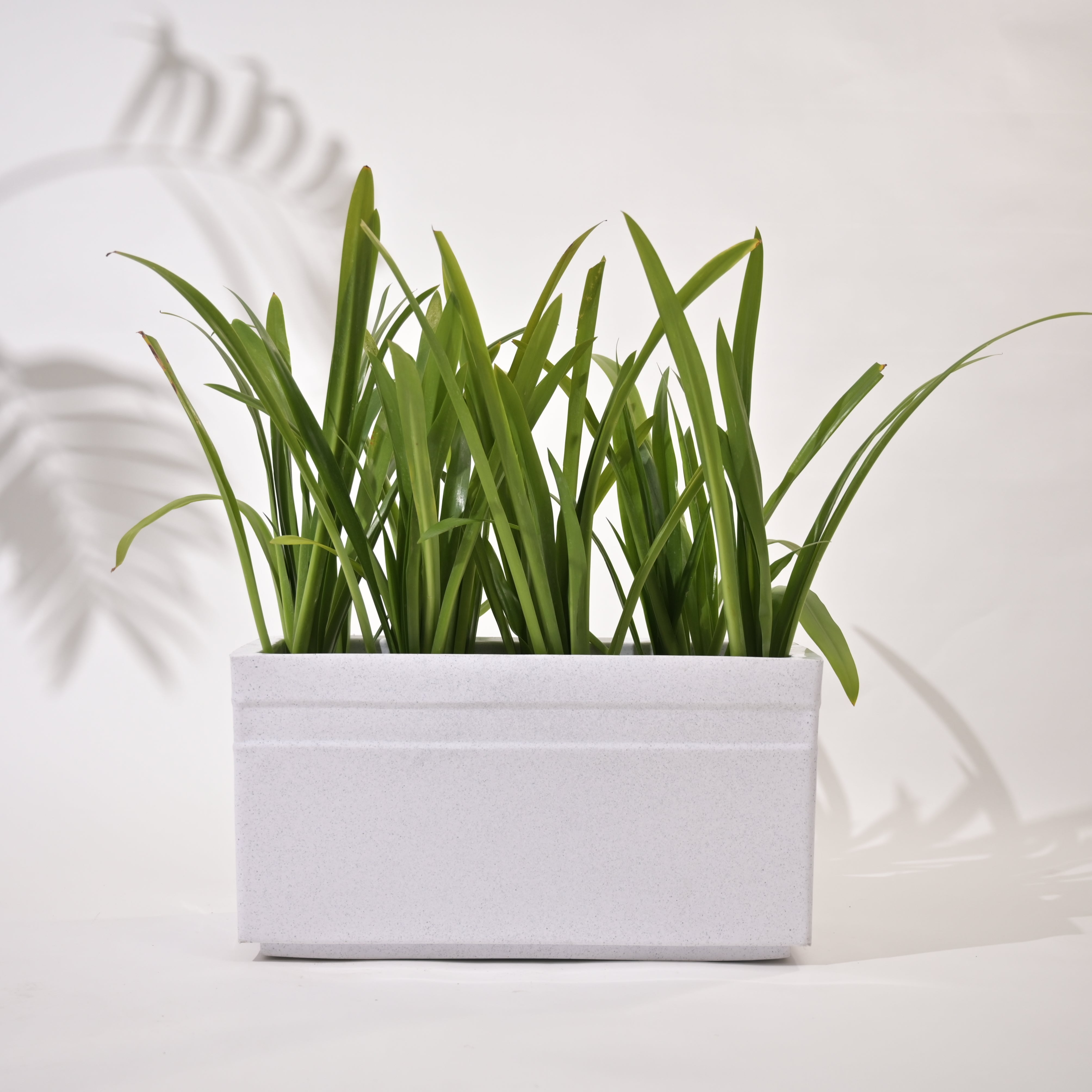 Dreamline Outdoor Polymer Planters For Garden, Balcony (Medium ...