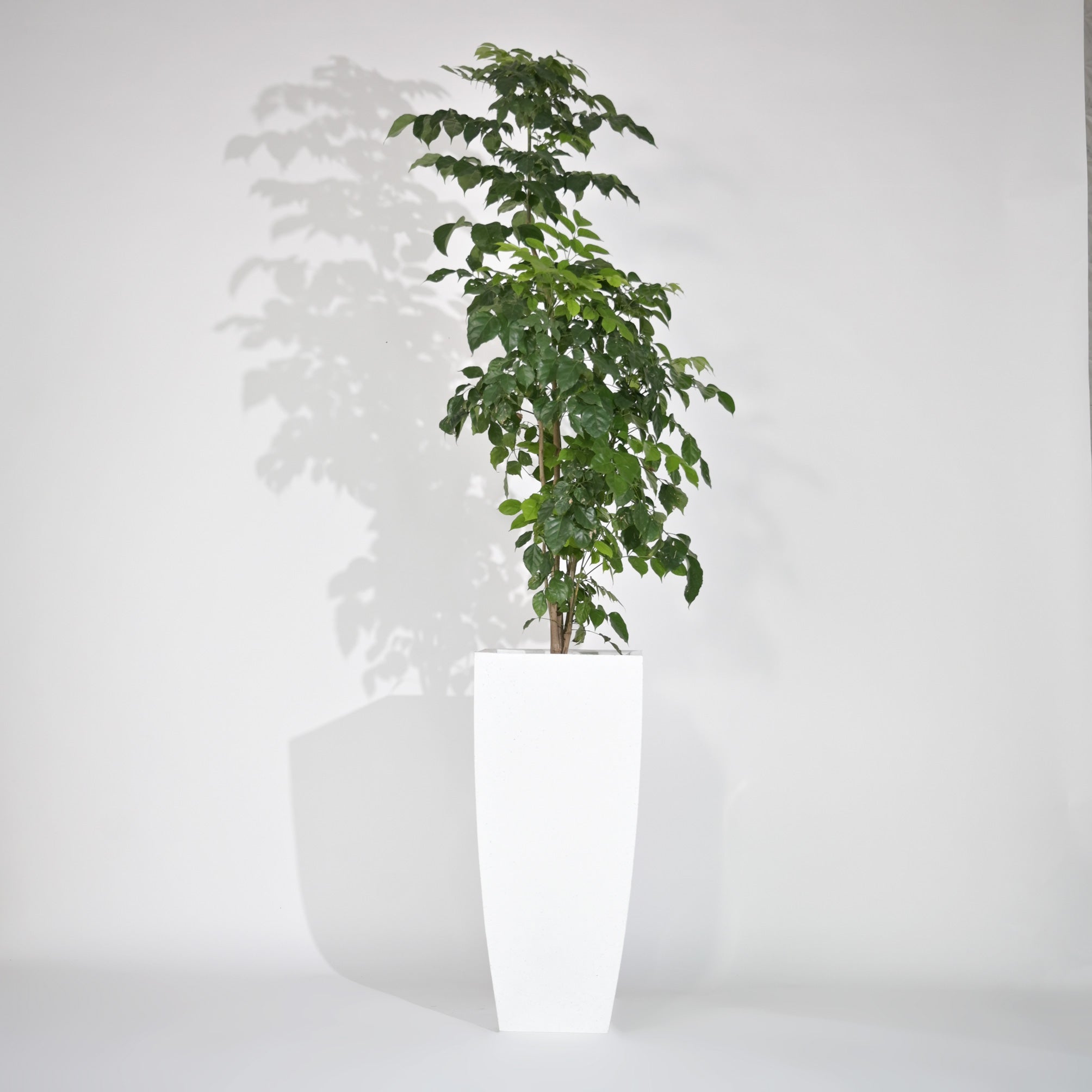 Dreamline Outdoor Polymer Planters For Garden, Balcony (XXL ...