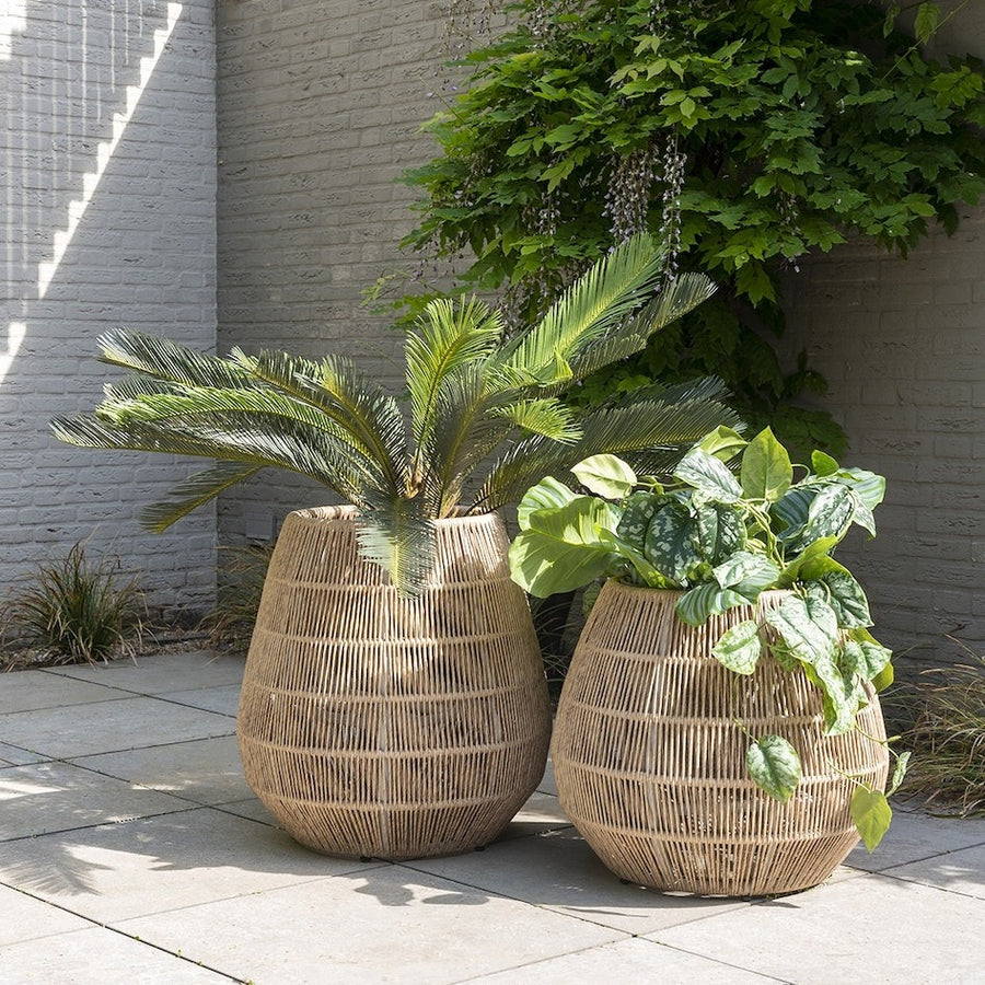 Buy Outdoor Wicker Planters For Garden , Balcony Online India ...
